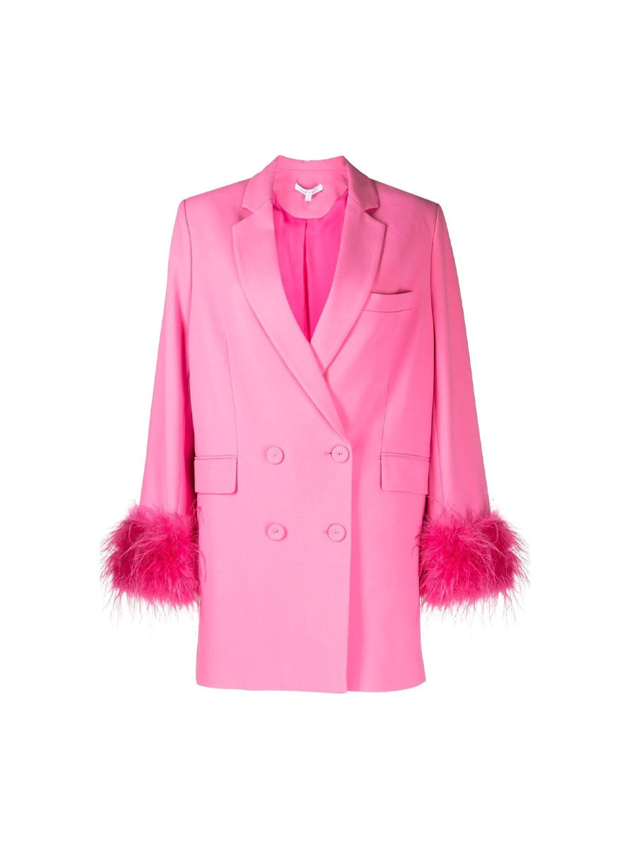 Rent Rachel Gilbert Pink Lincoln Mini Dress | Rites London